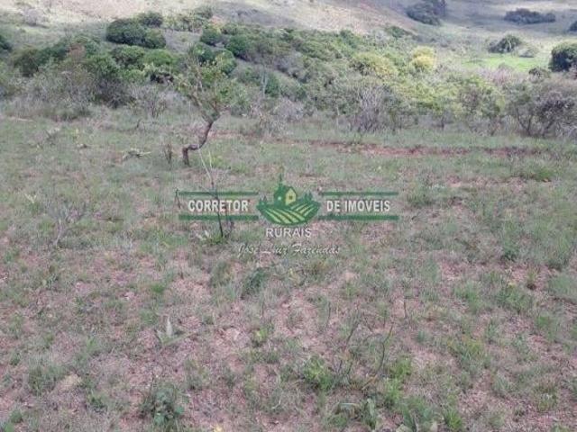 Rurais à venda em Arantina