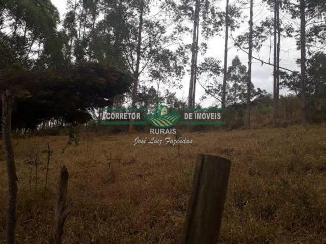 Rurais à venda em Arantina