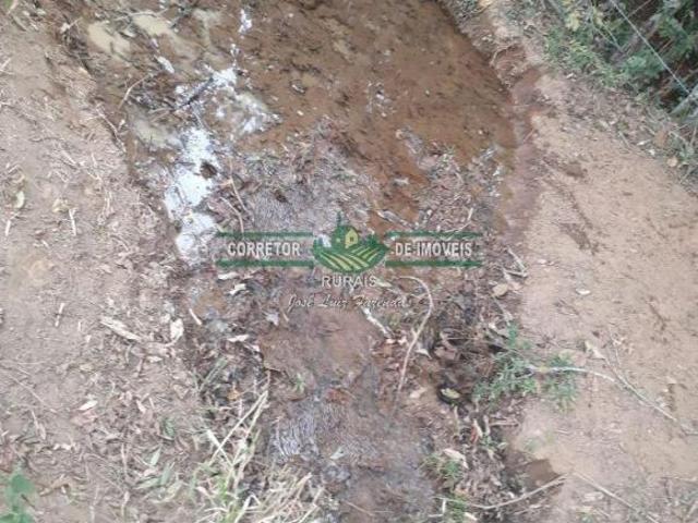 Rurais à venda em Arantina