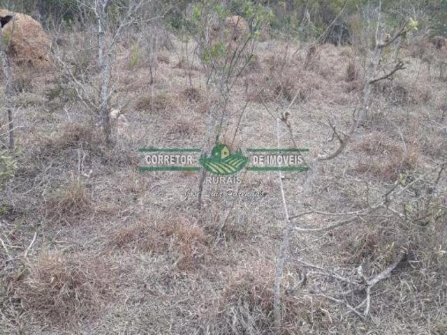 Rurais à venda em Arantina
