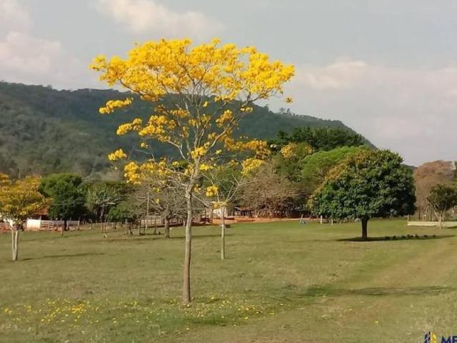 Rurais à venda em Avaré