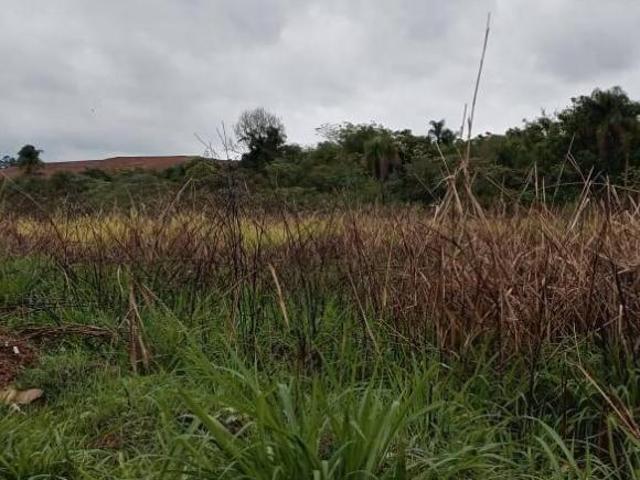 Rurais à venda em Bacaetava