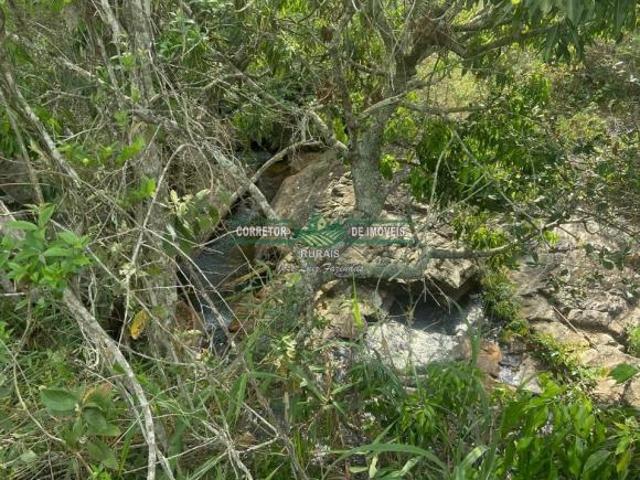 Rurais à venda em Baependi