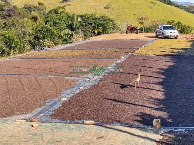 Rurais à venda em Baependi