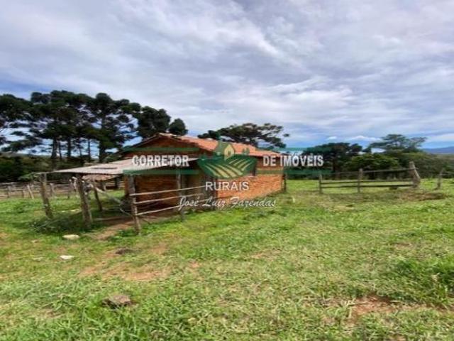 Rurais à venda em Baependi