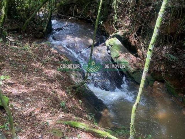 Rurais à venda em Baependi