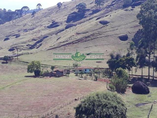 Rurais à venda em Baependi