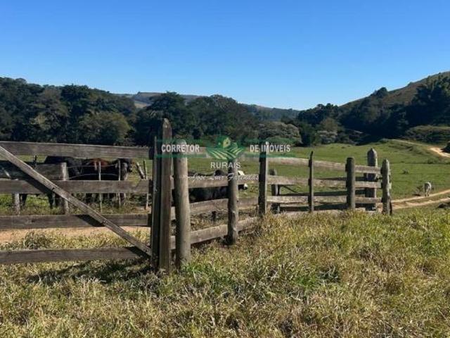 Rurais à venda em Baependi