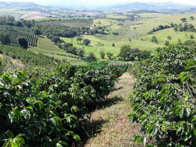 Rurais à venda em Baependi