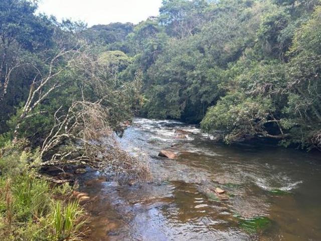 Rurais à venda em Baependi