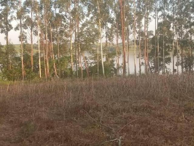 Rurais à venda em Barão de Antonina