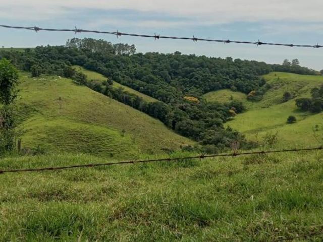 Rurais à venda em Barão de Antonina