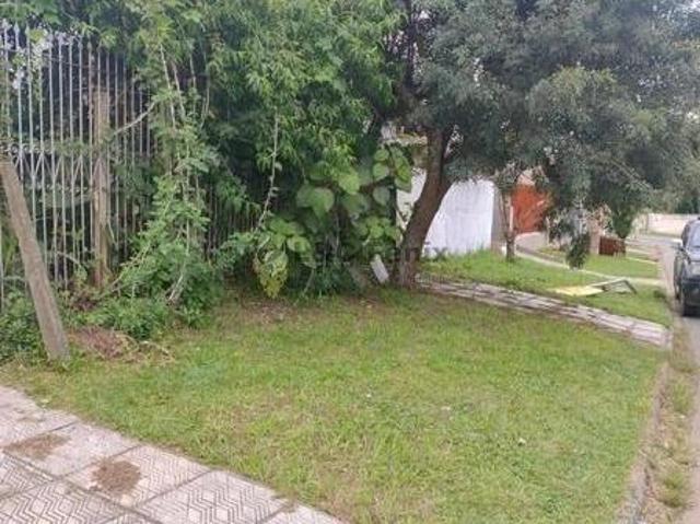 Rurais à venda em Barreirinha