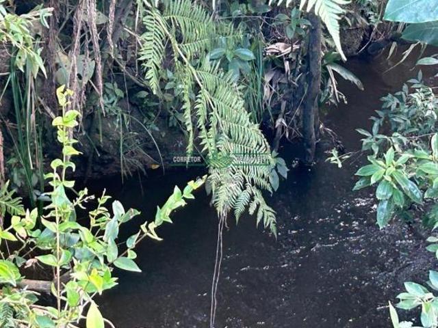 Rurais à venda em Bom Jardim de Minas