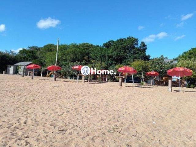 Rurais à venda em Boa Vista Do Sul