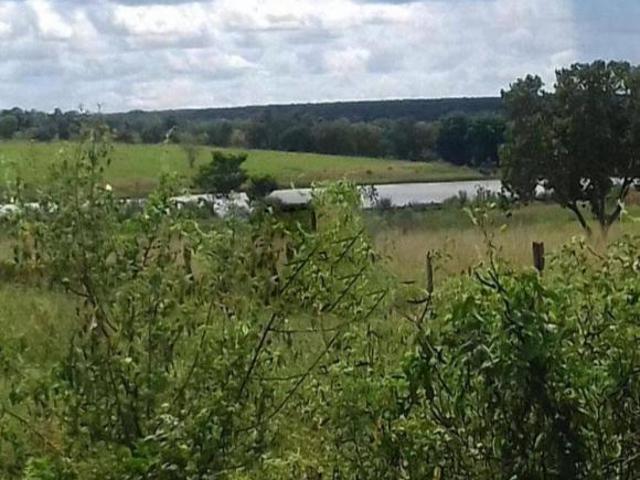 Rurais à venda em Brasília de Minas