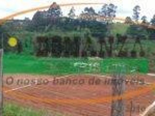 Rurais à venda em Buarque de Macedo