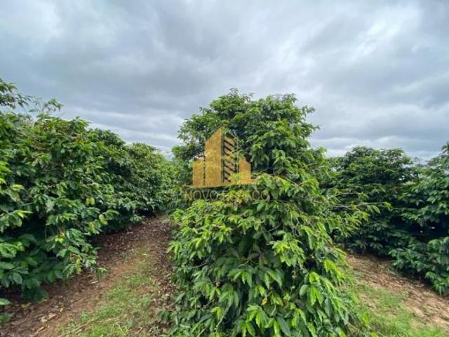 Rurais à venda em Campos Altos