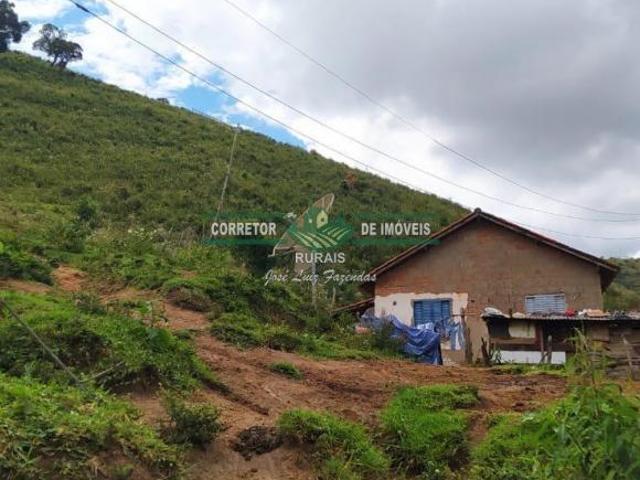 Rurais à venda em Carvalhos