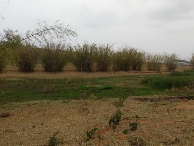 Rurais à venda em Carlos Gomes