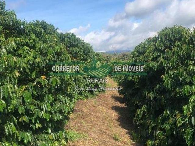 Rurais à venda em Carmo de Minas
