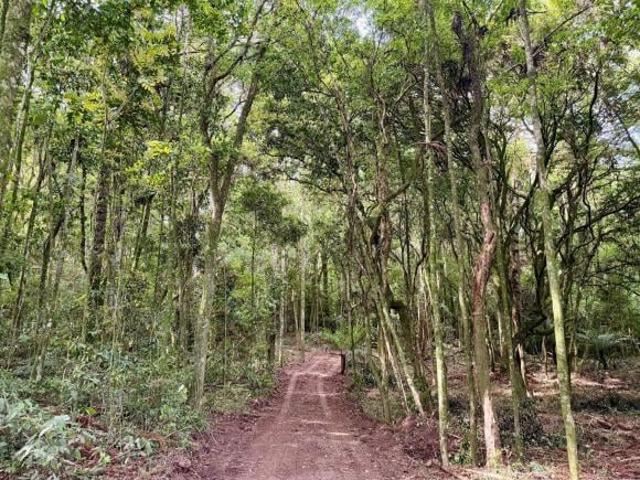 Rurais à venda em Caxias do Sul