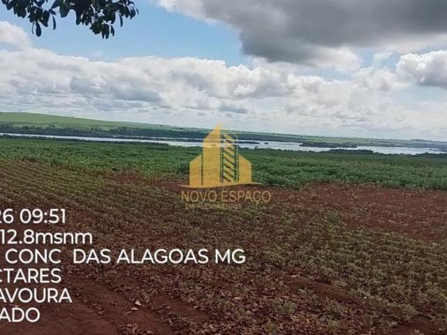 Rurais à venda em Conceição das Alagoas