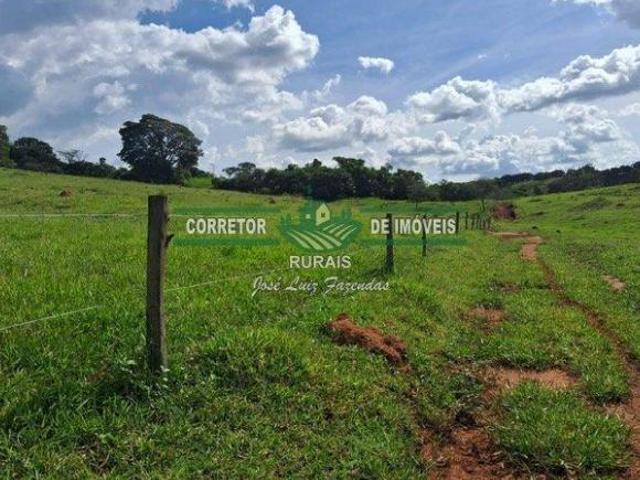 Rurais à venda em Conceição do Rio Verde