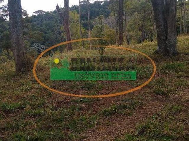 Rurais à venda em Conselheiro Lafaiete