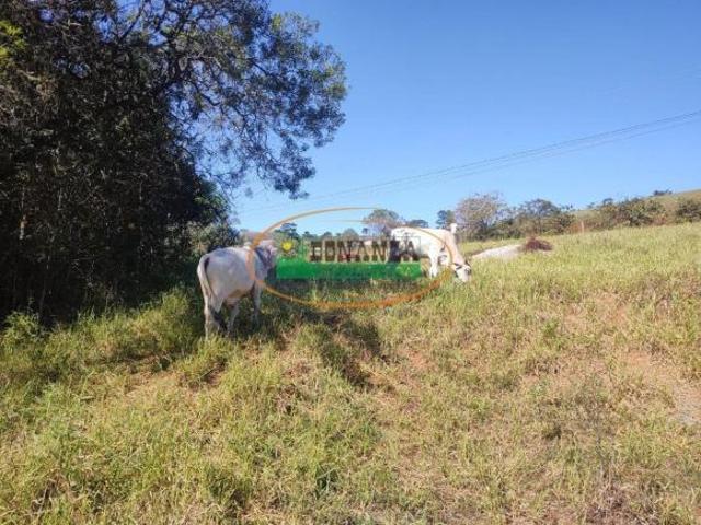 Rurais à venda em Conselheiro Lafaiete