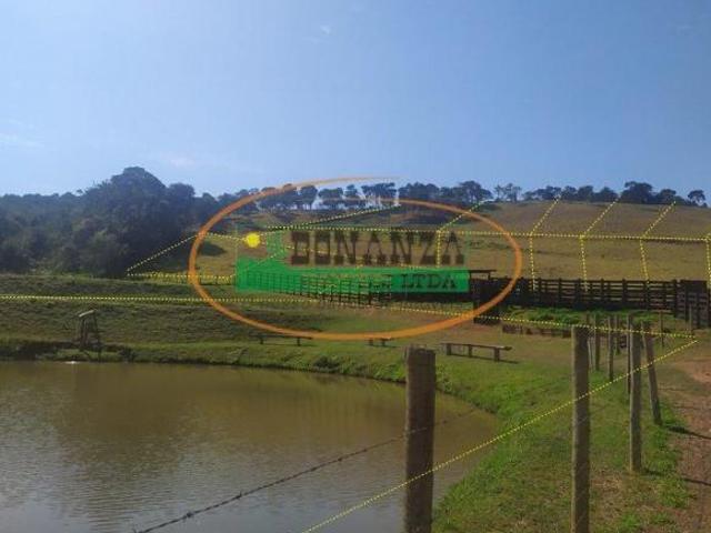 Rurais à venda em Conselheiro Lafaiete
