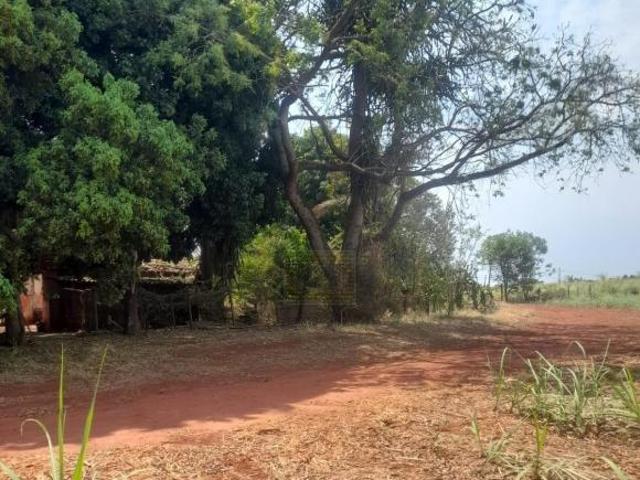 Rurais à venda em Cosmópolis