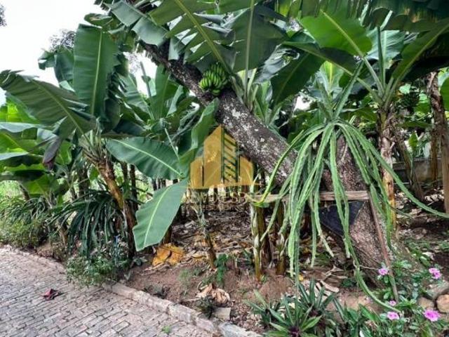 Rurais à venda em Cláudio