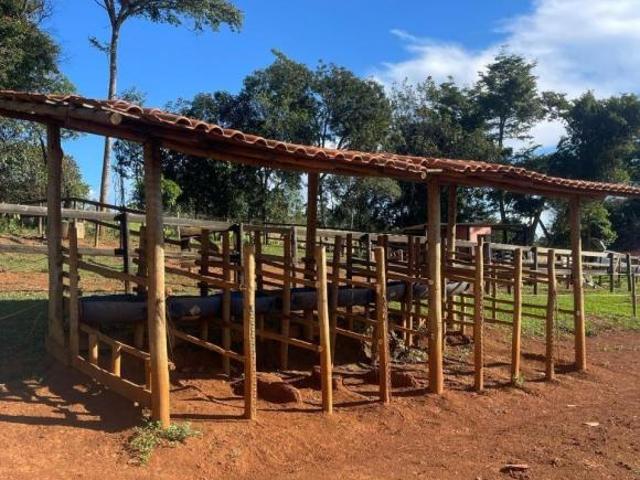 Rurais à venda em Cruzília