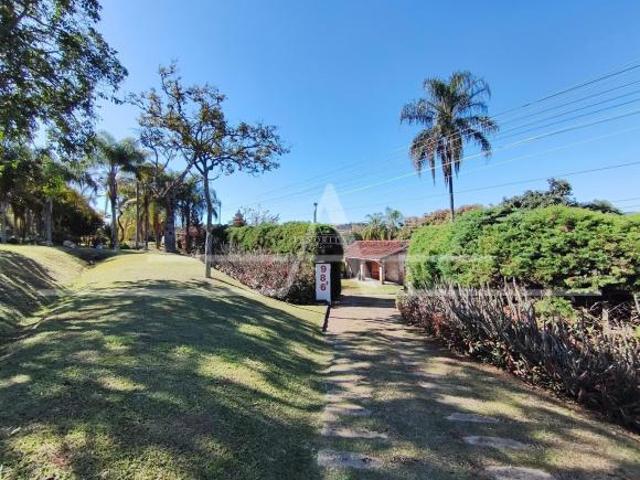 Rurais à venda em Curitibanos