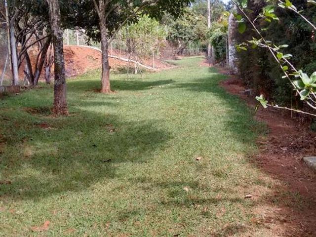 Rurais à venda em Curitibanos