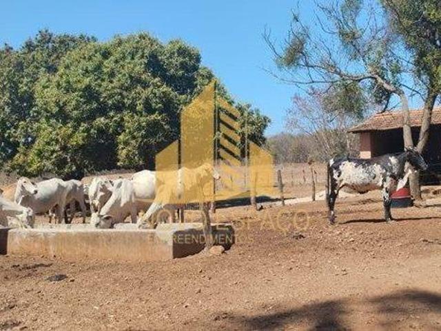 Rurais à venda em Engenheiro Navarro