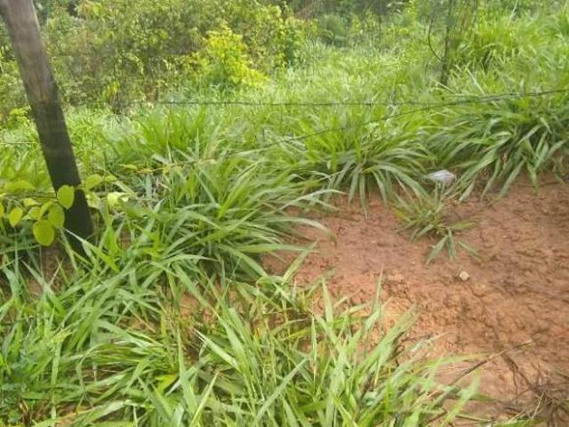 Fazenda / Sítios / Chácaras à venda em Esmeraldas, no bairro Fazendinha Das Garças