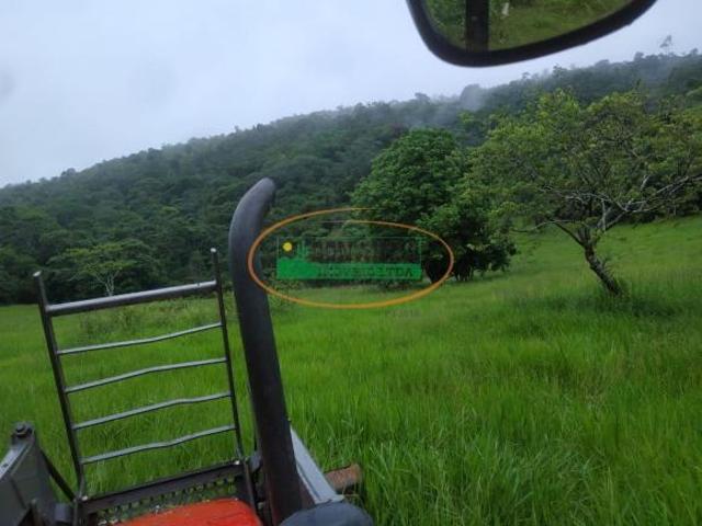 Rurais à venda em Frei Gaspar