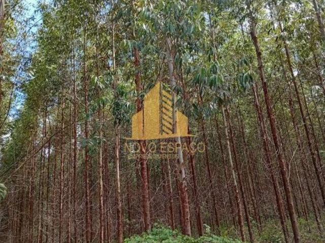 Rurais à venda em Grão Mogol