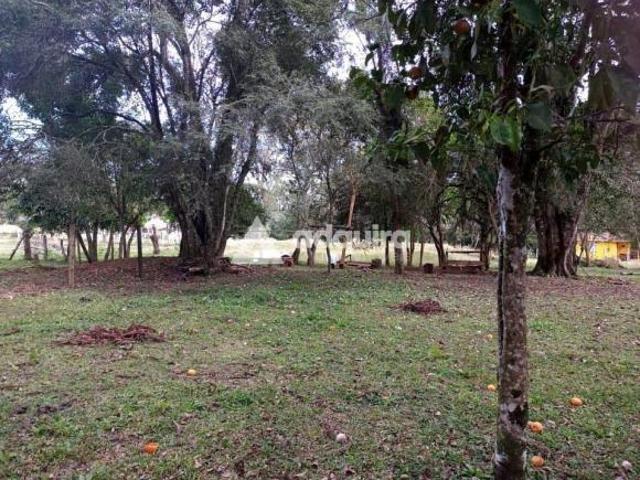 Rurais à venda em Guaragi