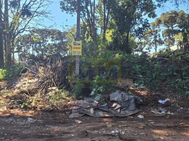 Rurais à venda em Guarituba