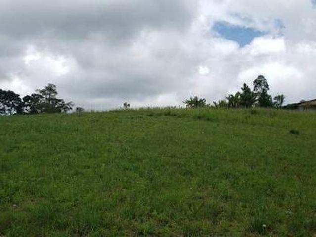 Rurais à venda em Ibiúna