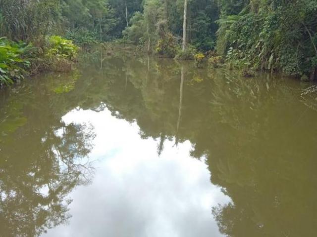 Rurais à venda em Ibiúna