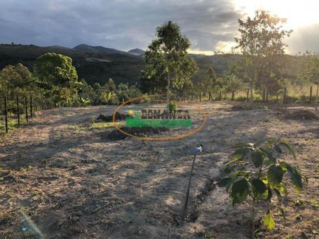 Rurais à venda em Itabirito