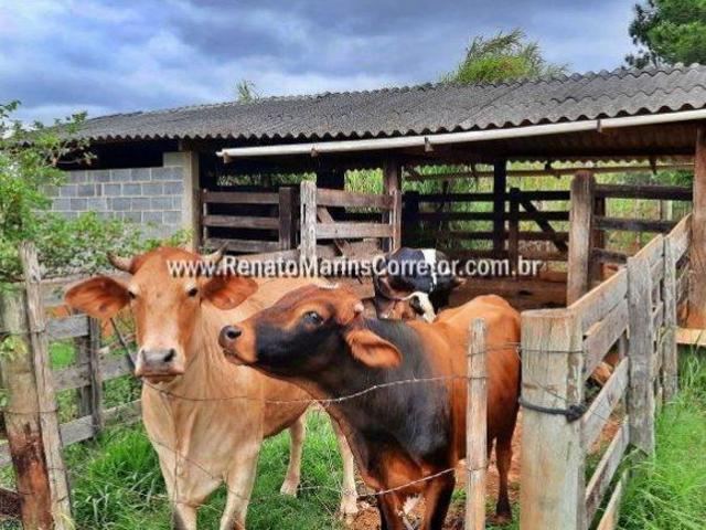 Rurais à venda em Jundiaquara