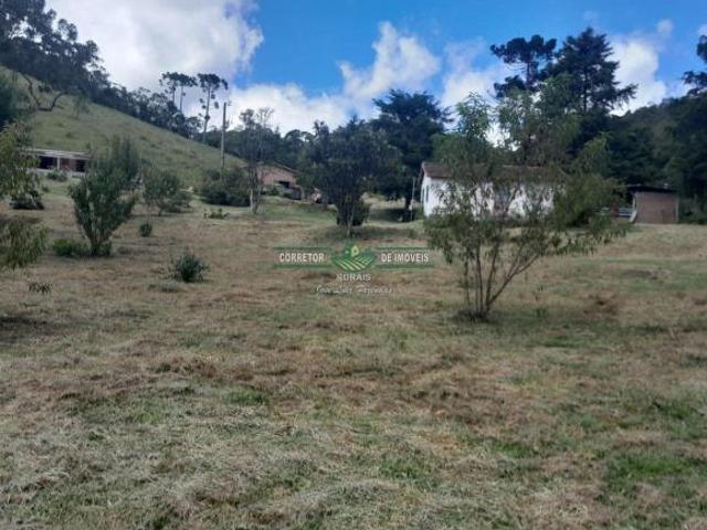 Rurais à venda em Liberdade