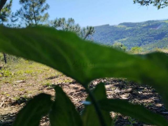Rurais à venda em Lomba Grande
