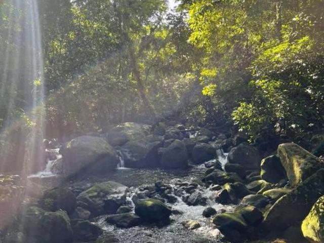 Rurais à venda em Maresias