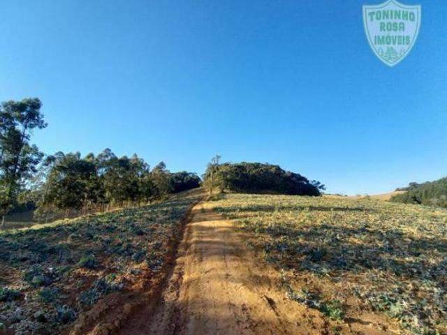 Rurais à venda em Monte Verde